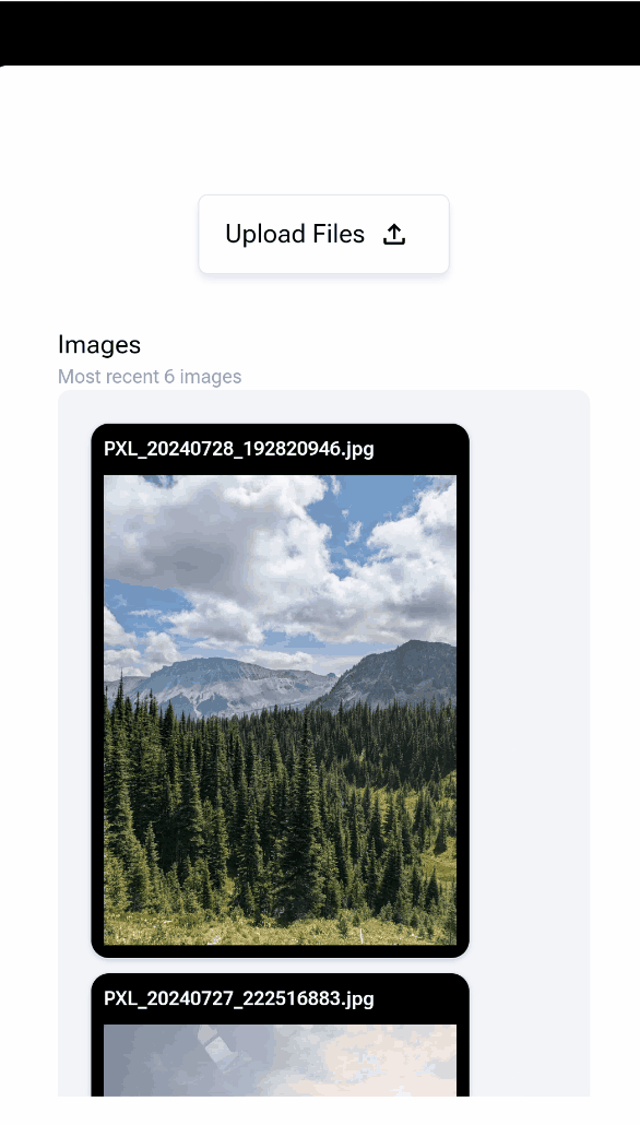 QR Codes for Wedding Photos: The Complete Guide